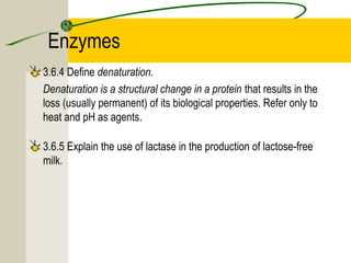 3.6 enzymes | PPT
