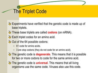 3.5 transcription & translation | PPT