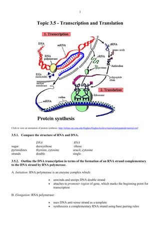 3.5 transcription & translation notes | DOC | Programming Languages ...