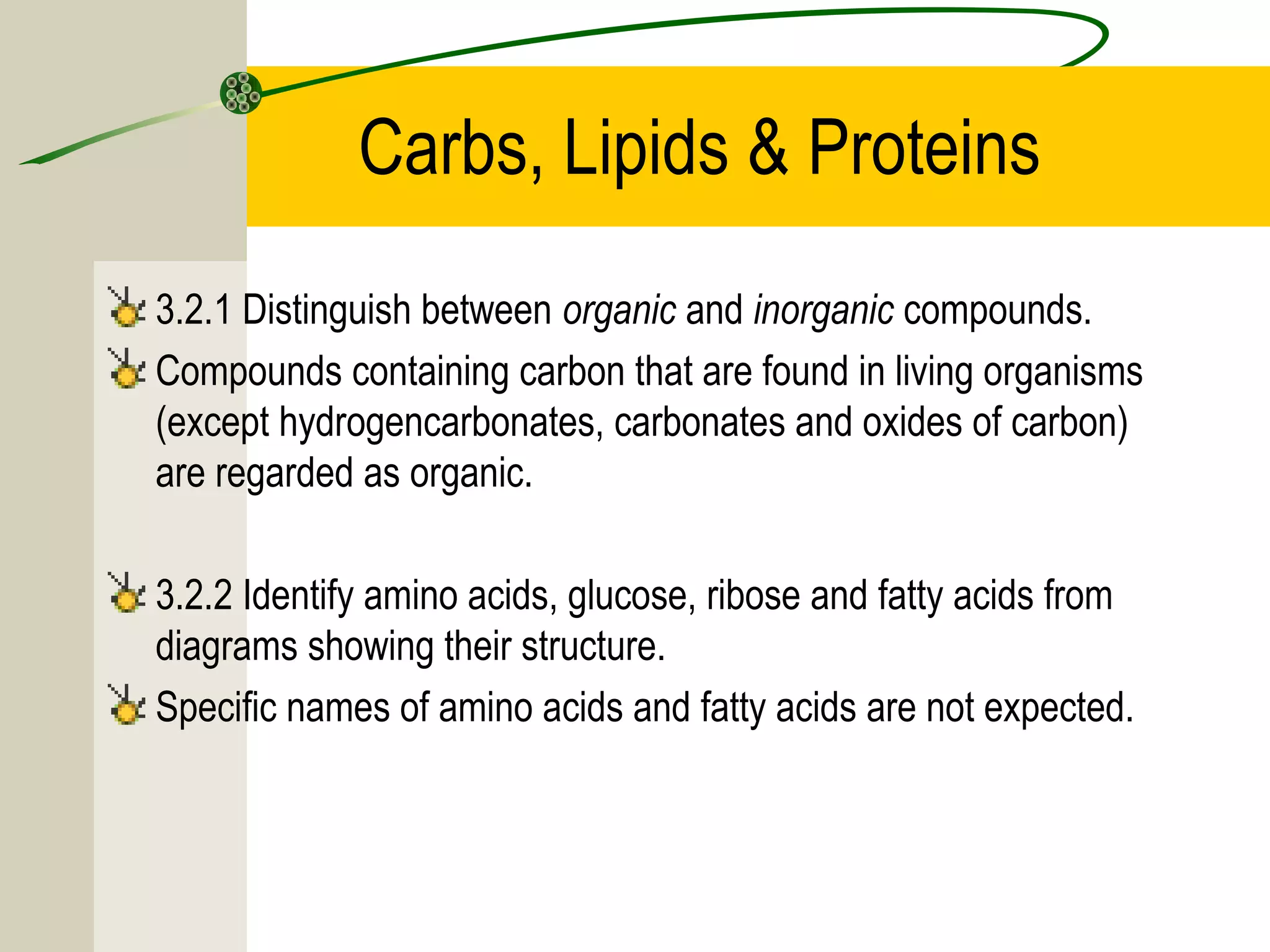 3.2 carbs, lipids & proteins | PPT