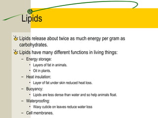 3.2 carbs, lipids & proteins | PPT