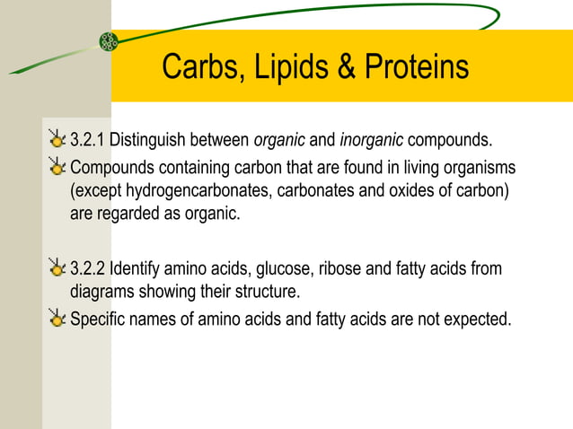 3.2 carbs, lipids & proteins | PPT