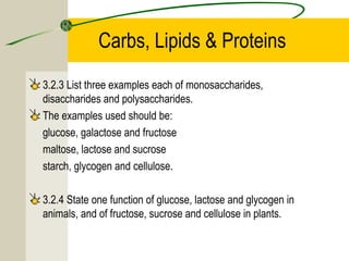 3.2 carbs, lipids & proteins | PPT