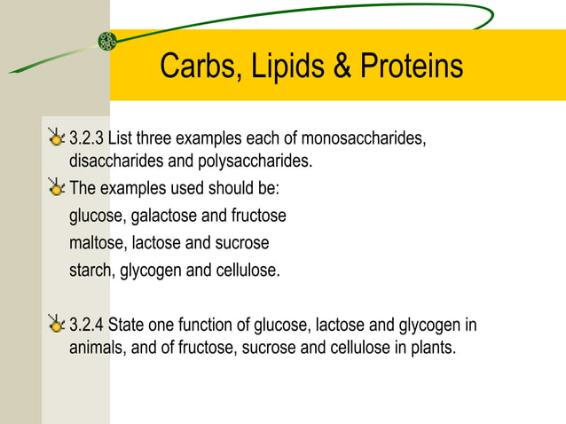 3.2 carbs, lipids & proteins | PPT