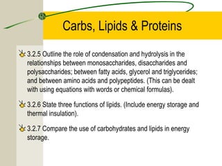 3.2 carbs, lipids & proteins | PPT