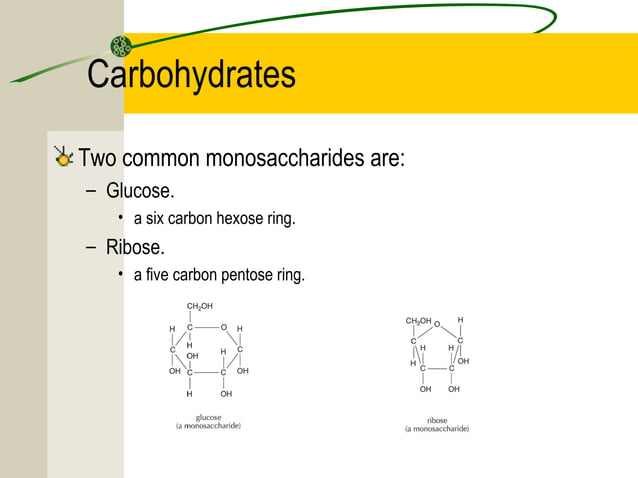 3.2 carbs, lipids & proteins | PPT