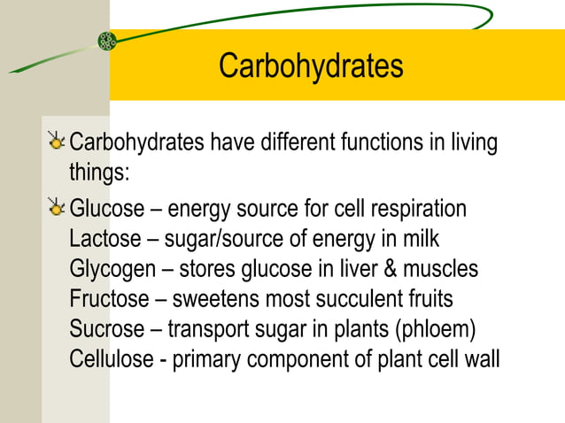 3.2 carbs, lipids & proteins | PPT