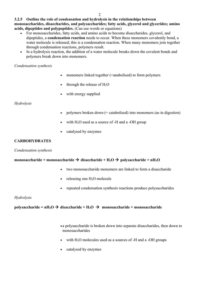 3.2 carbs, lipids & proteins notes | DOC | Chemistry | Science