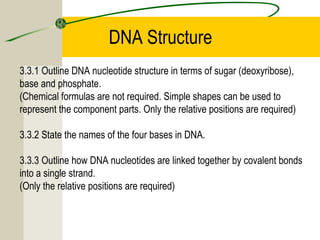 3.3 dna structure | PPT