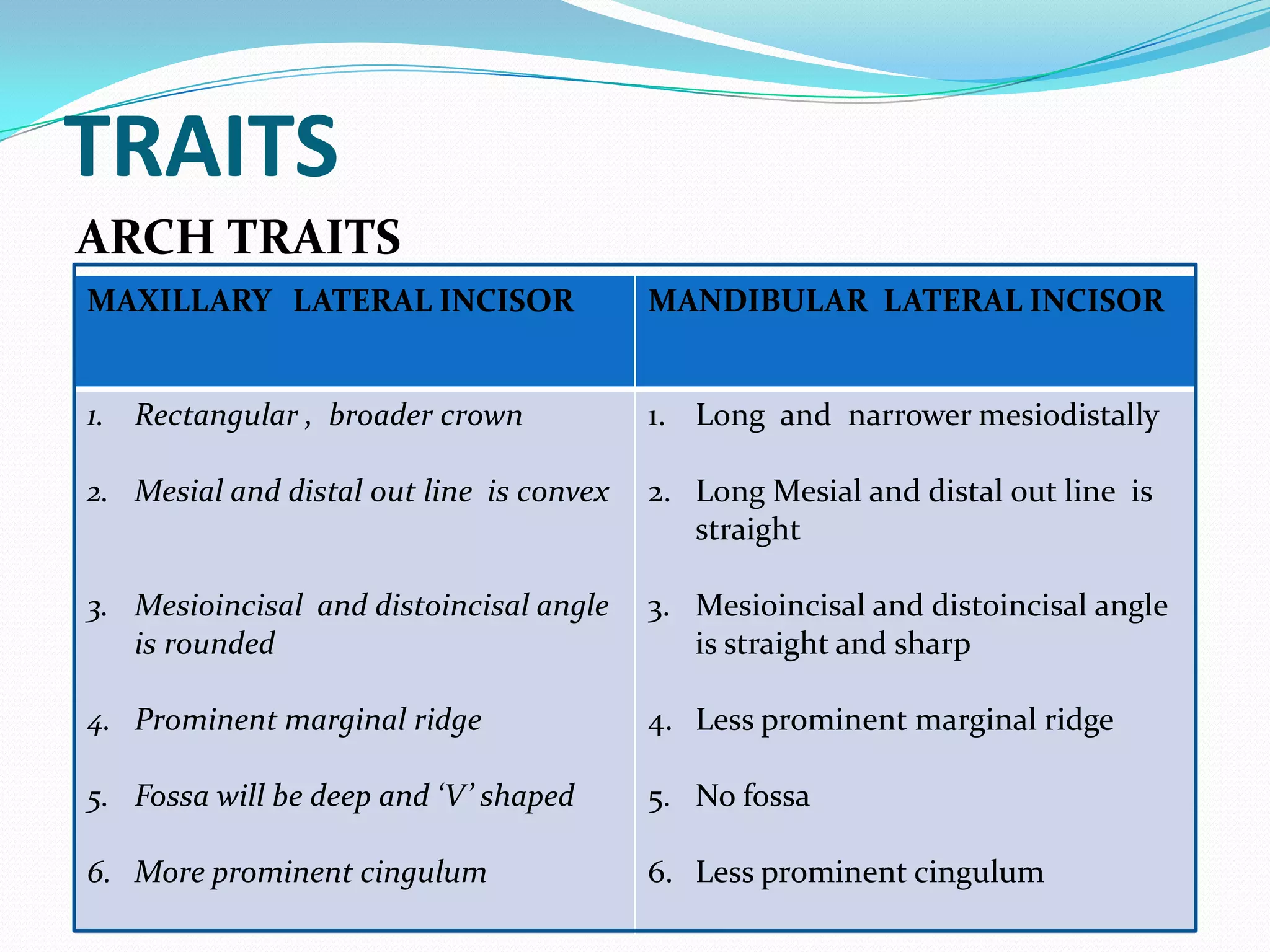 Permanant Maxillary Lateral Incisor | PPTX