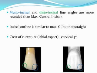 Permanant Maxillary Lateral Incisor | PPTX