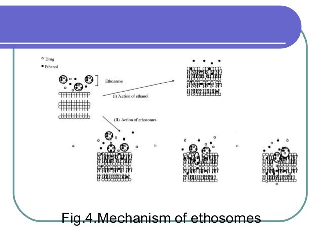 novel vesicular transdermal