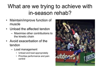 Jill Cook: Professor Monash University , Melbourne Australia. | PDF ...