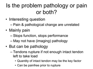 Jill Cook: Professor Monash University , Melbourne Australia. | PDF ...