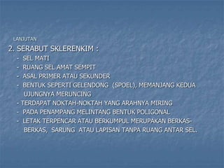 3.anatomi tumbuhan batang | PPTX