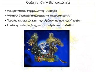 3ο ΔΣ Μεγάρων- Βιοποικιλότητα | PDF