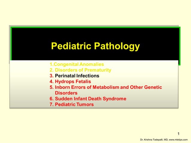 3. perinatal infections; pediatric pathology | PPT | Pregnancy ...