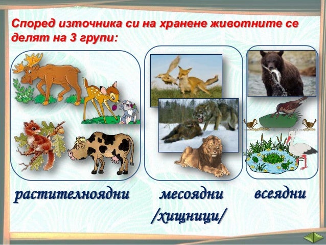 Групиране на живите организми ЧП 3 клас Булвест