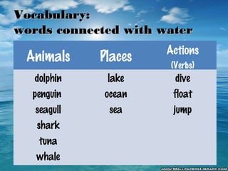 3.2 and 3.3 Elementary - Language Leader - English | PPT