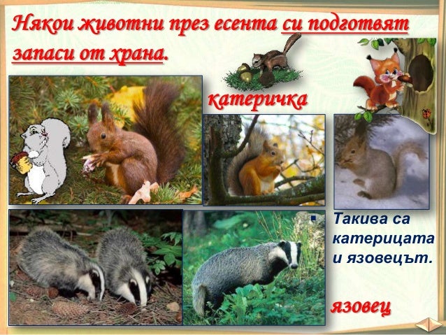 Как растенията и животните оцеляват ЧП 3 клас Булвест