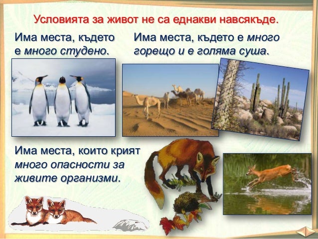 Как растенията и животните оцеляват ЧП 3 клас Булвест