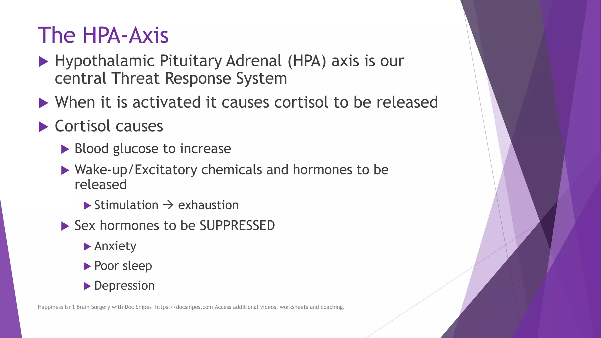 Emotion Regulation: Improving Happiness and Preventing Distress | PPTX