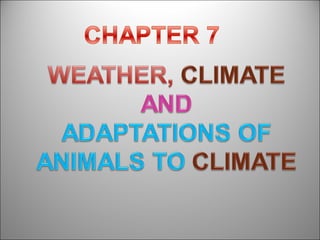3. 7. weather climate | PPT