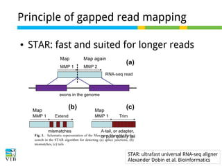 RNA-seq: Mapping and quality control - part 3 | PDF