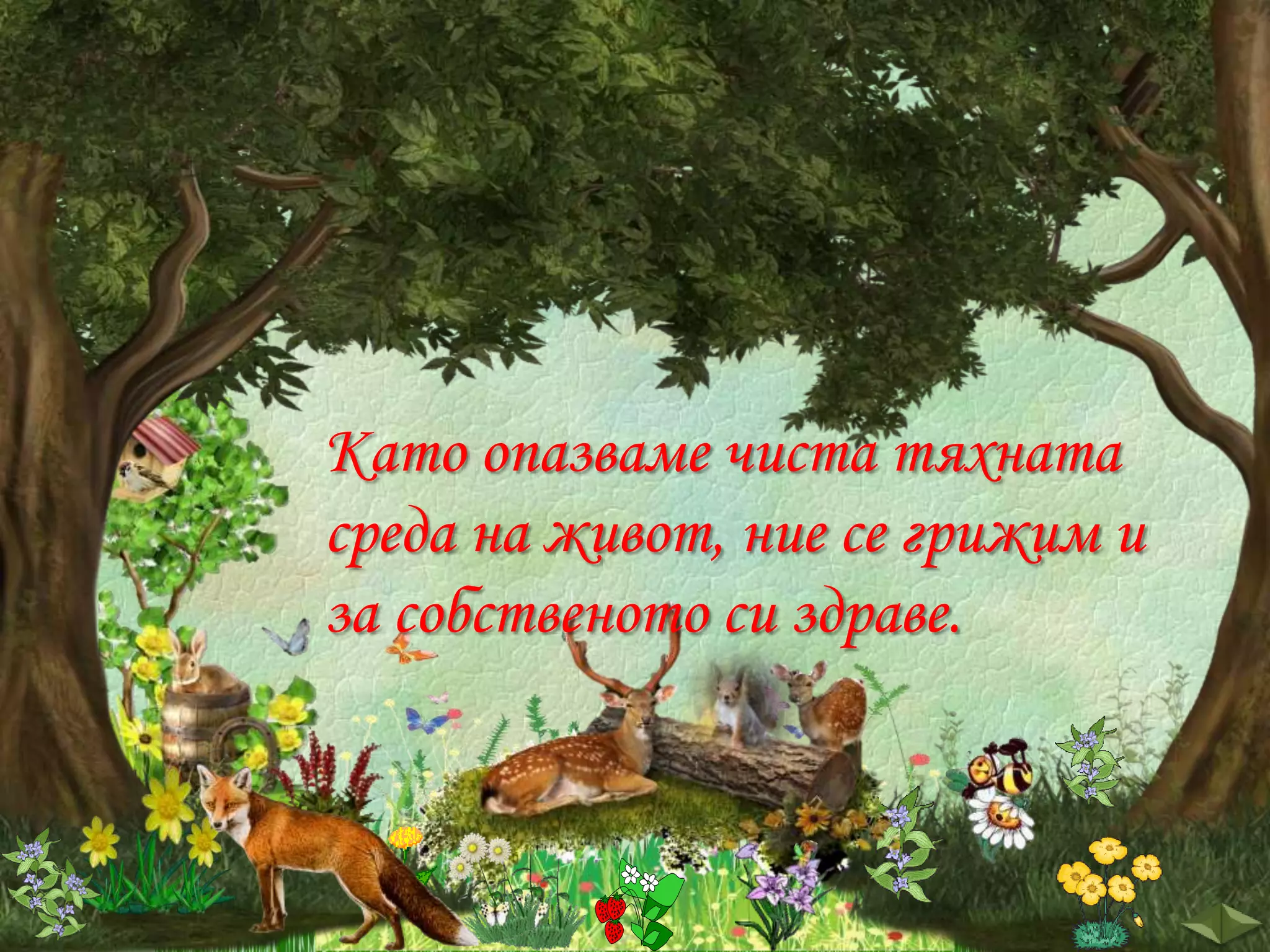 Групиране на животните според начина им на хранене ЧП 3 клас
