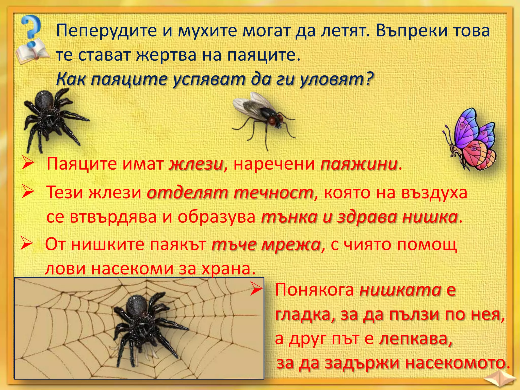 Групиране на животните според начина им на хранене ЧП 3 клас
