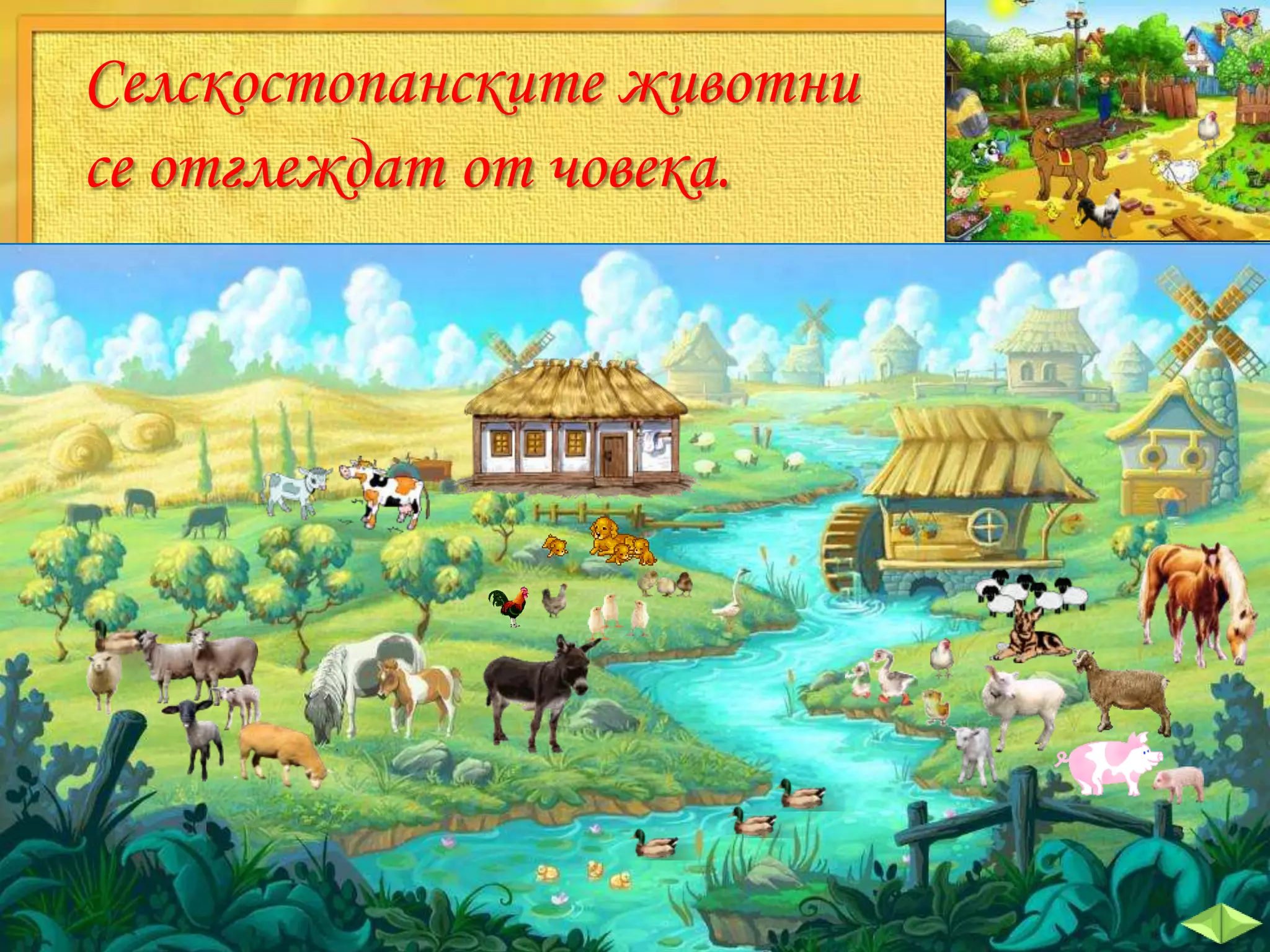 Групиране на животните според начина им на хранене ЧП 3 клас