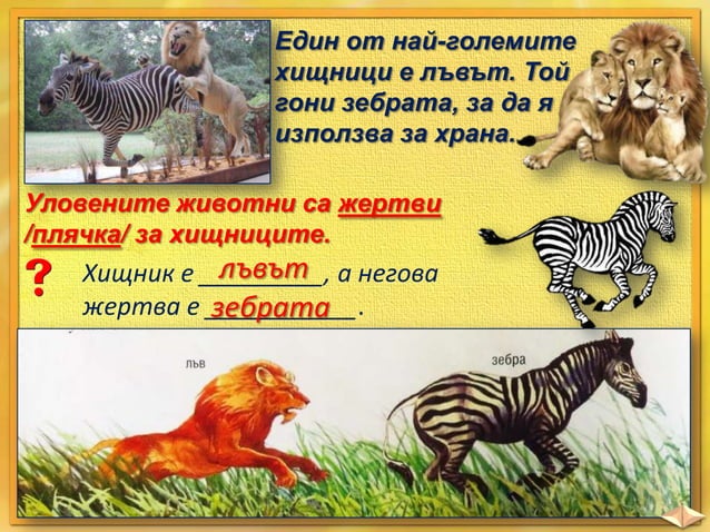 Групиране на животните според начина им на хранене ЧП 3 клас