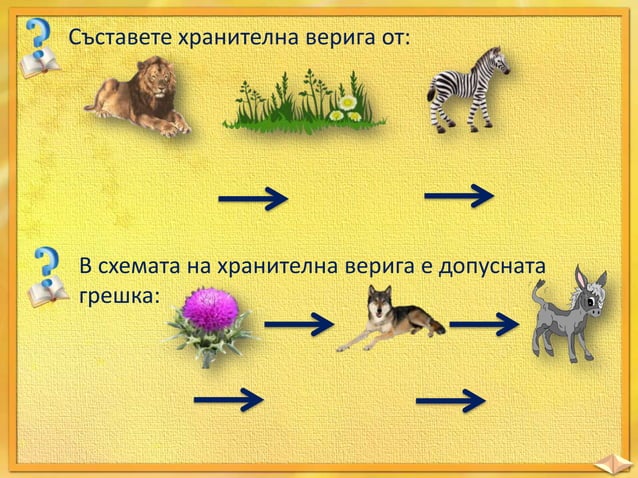 Групиране на животните според начина им на хранене ЧП 3 клас