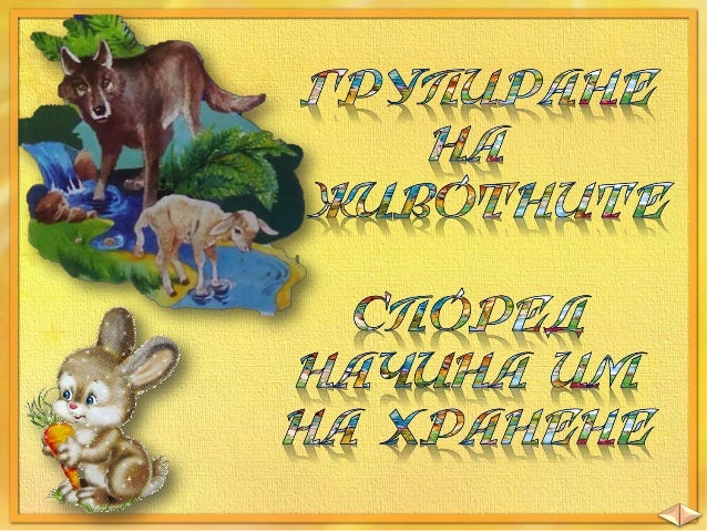 Групиране на животните според начина им на хранене ЧП 3 клас Булв…