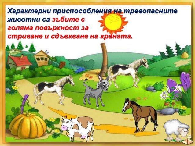 Групиране на животните според начина им на хранене ЧП 3 клас Булв…