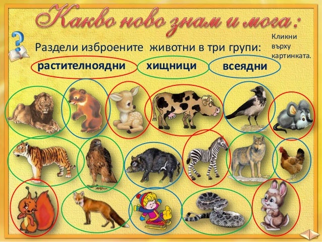 Групиране на животните според начина им на хранене ЧП 3 клас Булв…