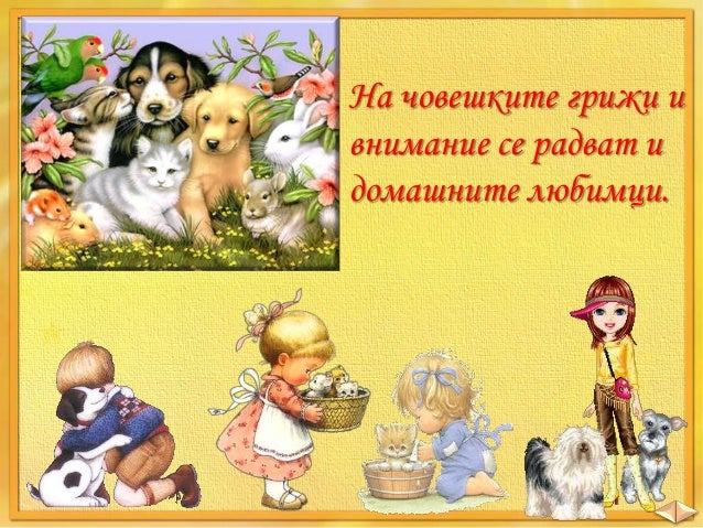 Групиране на животните според начина им на хранене ЧП 3 клас Булв…