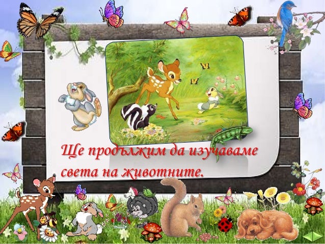 Групиране на животните според начина им на хранене ЧП 3 клас Булв…
