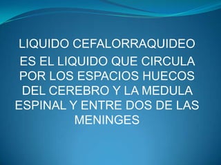 Meninges y liquido cefalo raquideo | PPTX