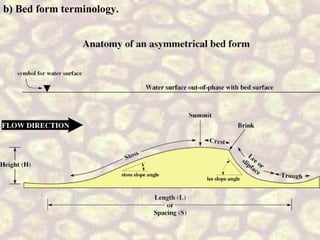 3.bedforms under unidirectional flow | PPT | Geology | Science