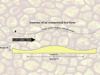 3.bedforms under unidirectional flow | PPT | Geology | Science