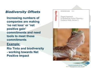 Mining & Biodiversity Conservation Management | PDF