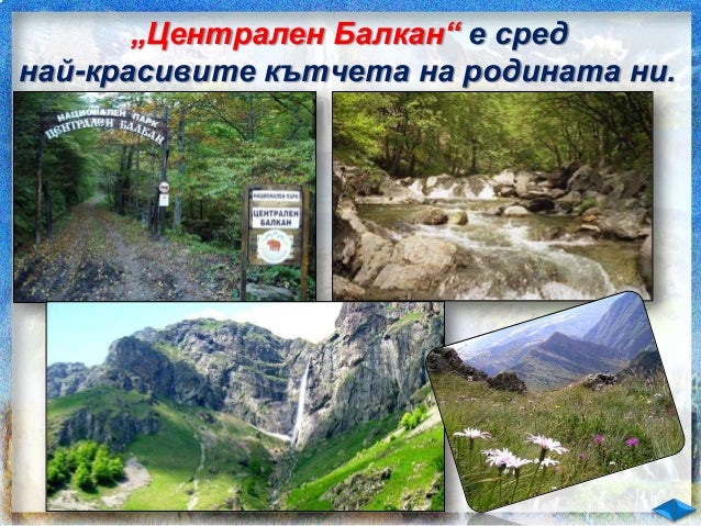 Опазване на българската природа ЧО 3 клас Булвест