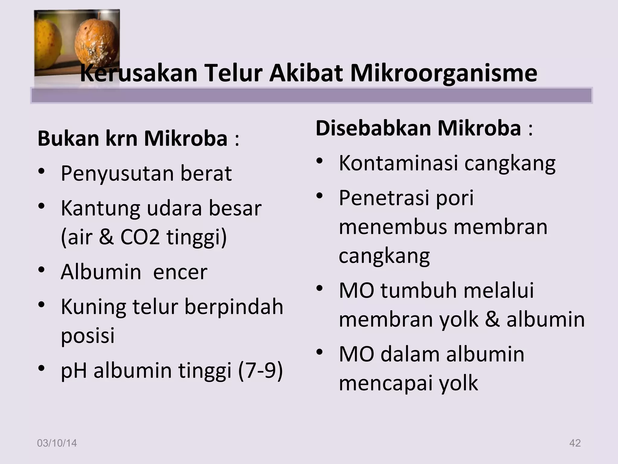kerusakan bahan pangan oleh mikroorganisme | PPT