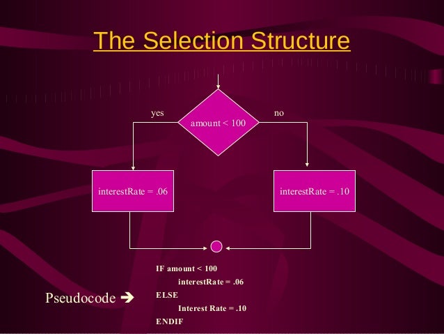 Pseudo Code Basics