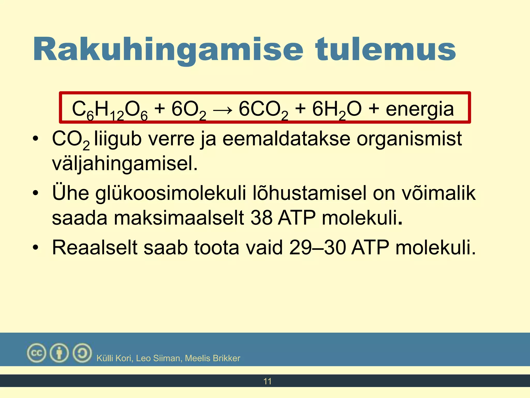 3.hingamine rakuhingamine | PPTX