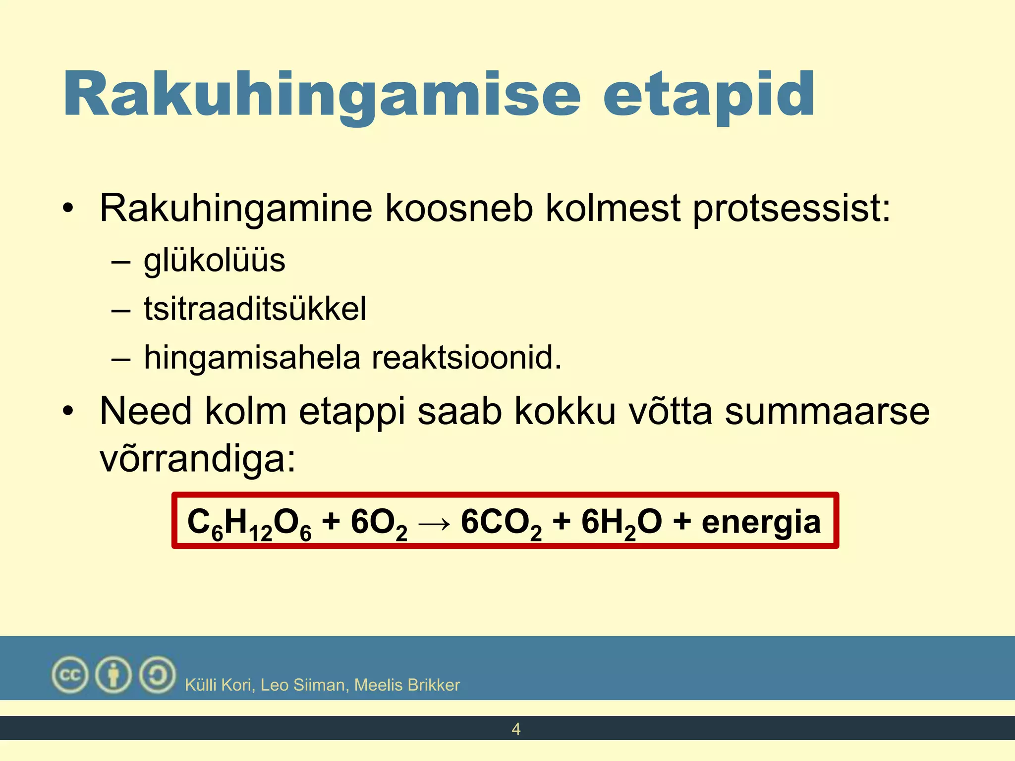 3.hingamine rakuhingamine | PPTX