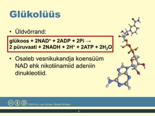 3.hingamine rakuhingamine | PPTX