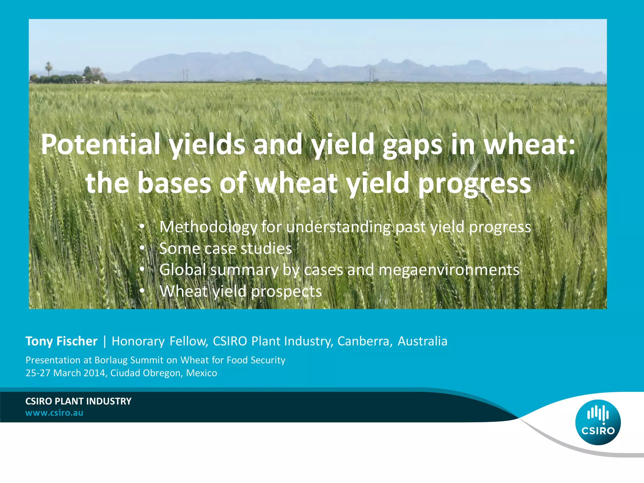 Potential yields and yield gaps in wheat: the bases of wheat yield progress | PDF | Agriculture ...