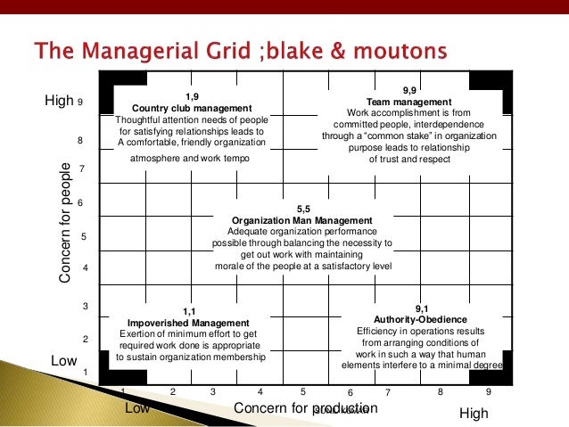 leader ship Motivated ppt